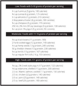 What is the protein and weight loss connection? | ThinkBeef