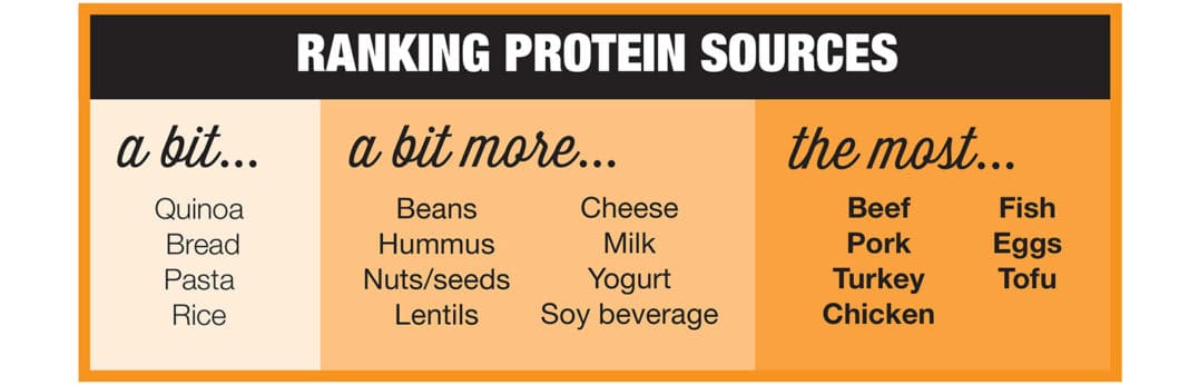 Protein | ThinkBeef