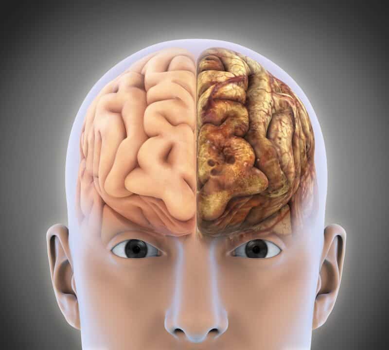 Meat eaters have better mental health than vegans and vegetarians ...